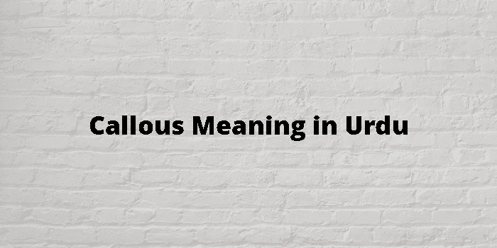 Callous Meaning In Urdu - اردو معنی