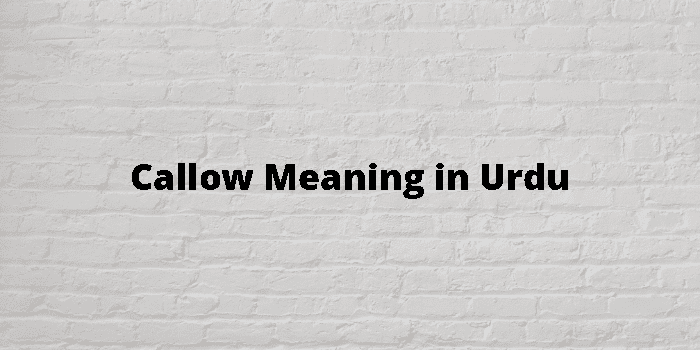 Callow Meaning In Urdu - اردو معنی