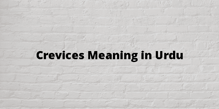 Crevices Meaning In Urdu - اردو معنی