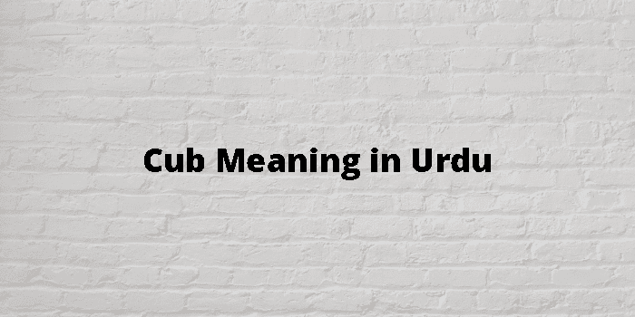 Cub Meaning In Urdu - اردو معنی