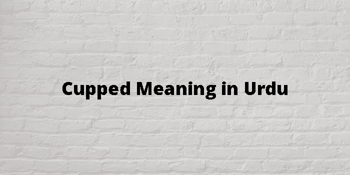 Cupped Meaning In Urdu - اردو معنی