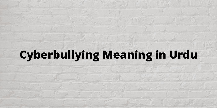 Cyberbullying Meaning In Urdu اردو معنی