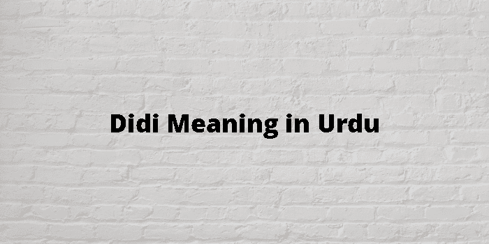 Didi Meaning In Urdu - اردو معنی