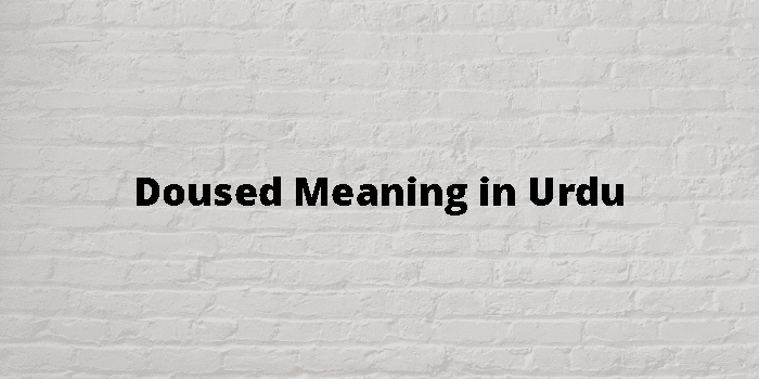 Doused Meaning In Urdu - اردو معنی