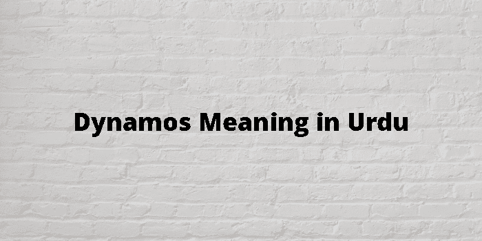 Dynamos Meaning In Urdu - اردو معنی