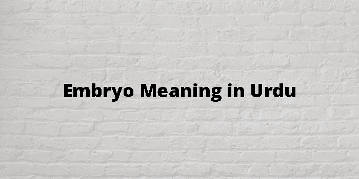 Embryo Meaning In Urdu - اردو معنی