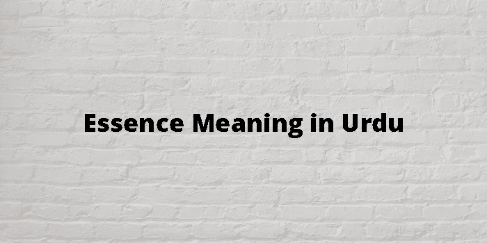 Essence Meaning In Urdu - اردو معنی