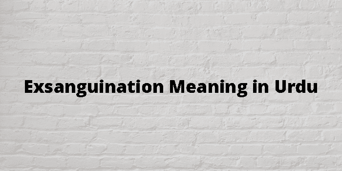Exsanguination Meaning In Urdu - اردو معنی