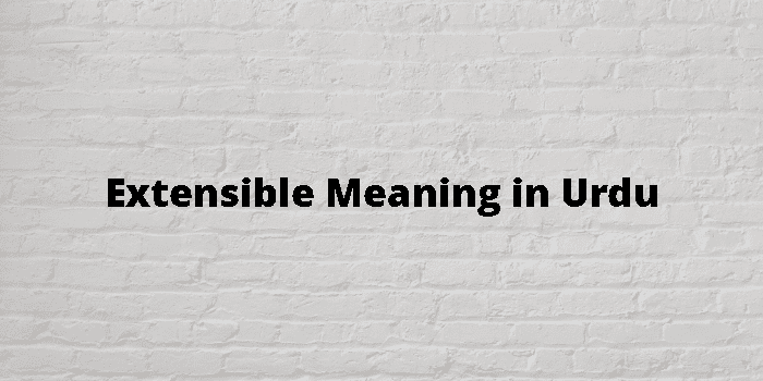 Extensible Meaning In Urdu - اردو معنی