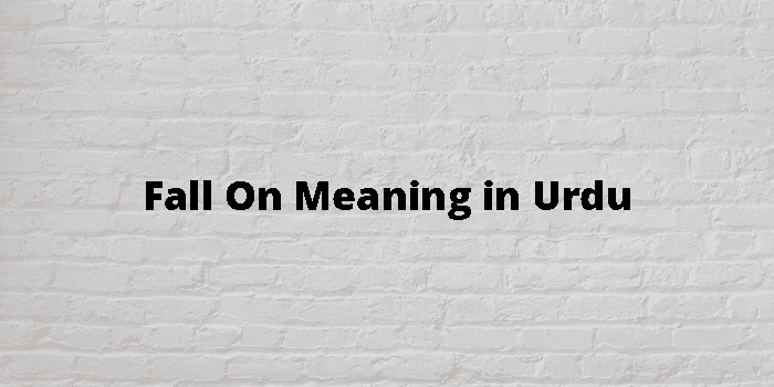 Fall On Meaning In Urdu - اردو معنی
