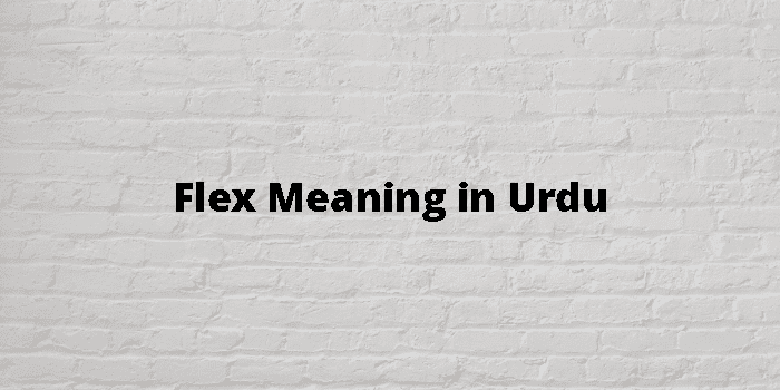 Flex Meaning In Urdu - اردو معنی