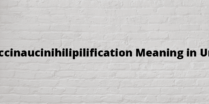 Floccinaucinihilipilification Meaning In Urdu - اردو معنی