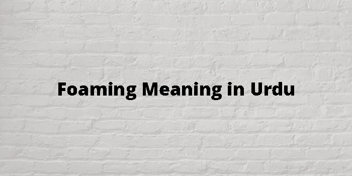 Foaming Meaning In Urdu - اردو معنی