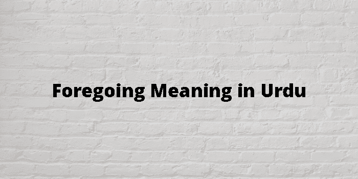 Foregoing Meaning In Urdu - اردو معنی