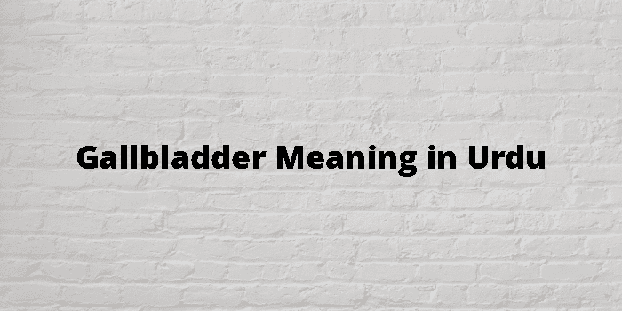 Gallbladder Meaning In Urdu - اردو معنی