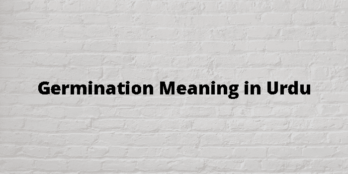 Germination Meaning In Urdu - اردو معنی