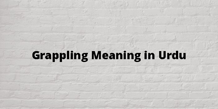 Grappling Meaning In Urdu - اردو معنی