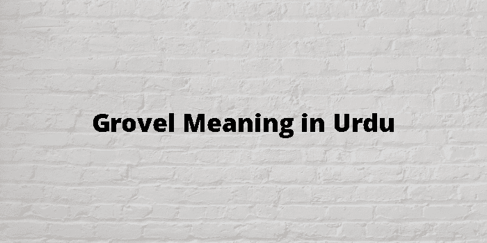 Grovel Meaning In Urdu - اردو معنی