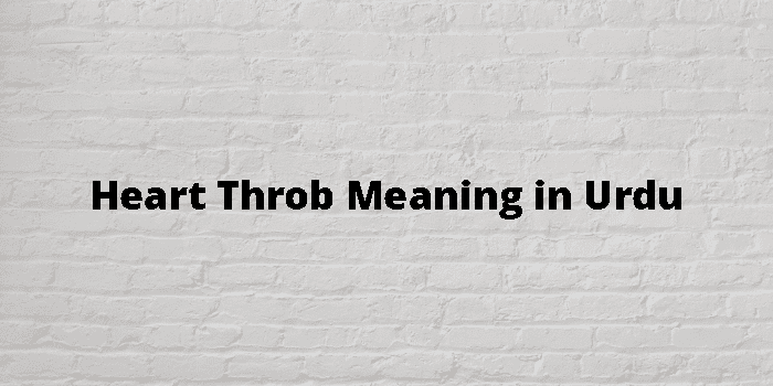 Heart Throb Meaning In Urdu - اردو معنی