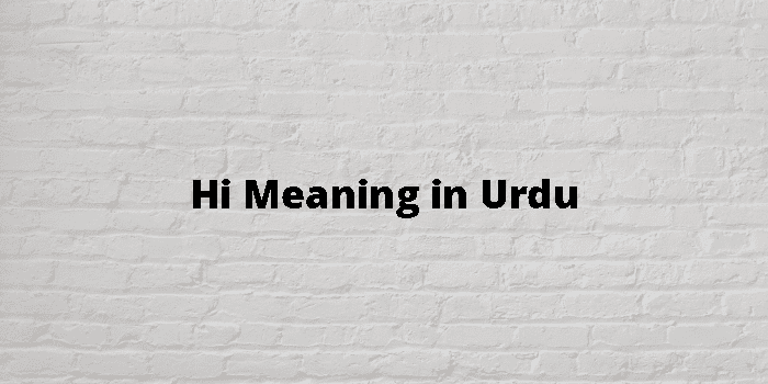 Hi Meaning In Urdu - اردو معنی