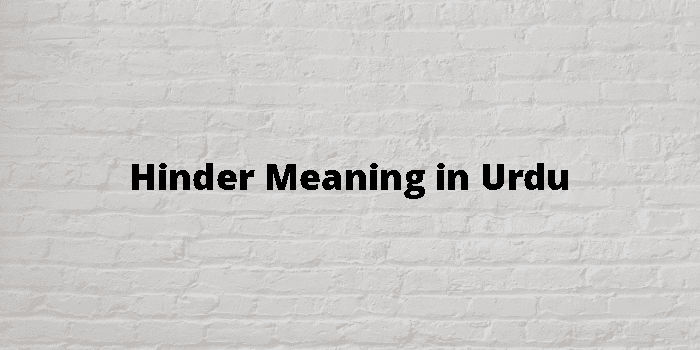 Hinder Meaning In Urdu - اردو معنی