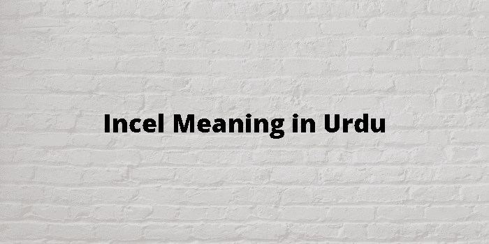 Incel Meaning In Urdu - اردو معنی