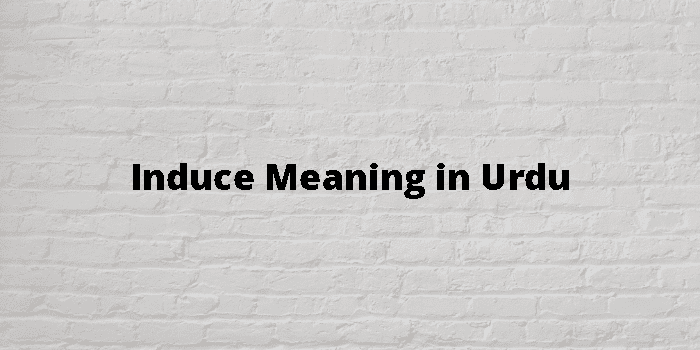 Induce Meaning In Urdu - اردو معنی