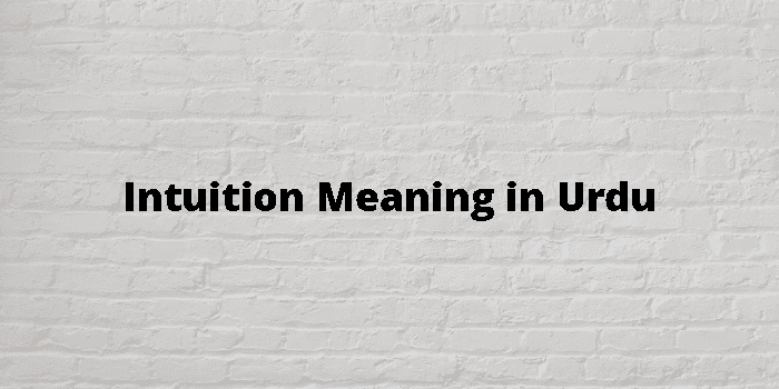 Intuition Meaning In Urdu - اردو معنی