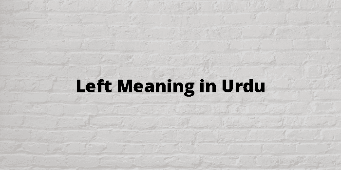Left Meaning In Urdu - اردو معنی