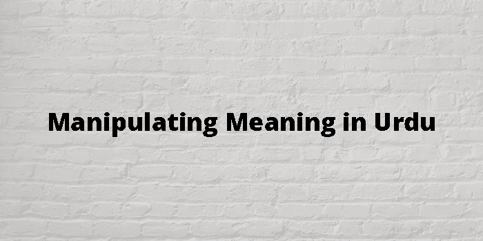 Manipulating Meaning In Urdu - اردو معنی
