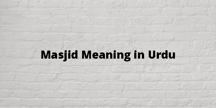 Masjid Meaning In Urdu - اردو معنی