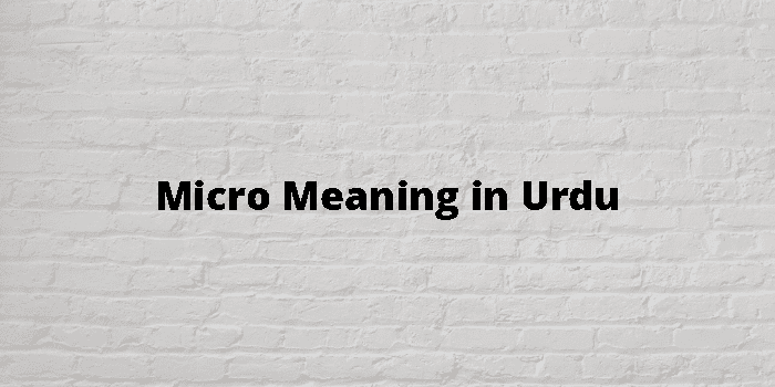 Micro Meaning In Urdu - اردو معنی