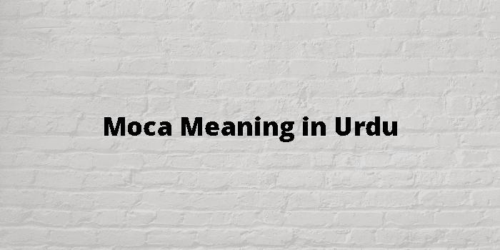 Moca Meaning In Urdu - اردو معنی