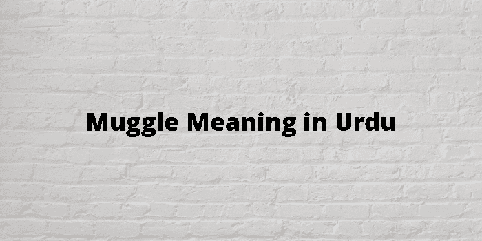 Muggle Meaning In Urdu - اردو معنی