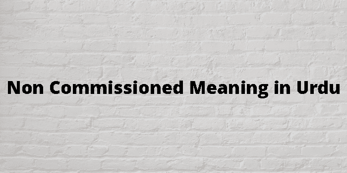 Non Commissioned Meaning In Urdu - اردو معنی