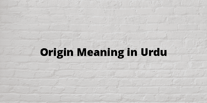Origin Meaning In Urdu - اردو معنی