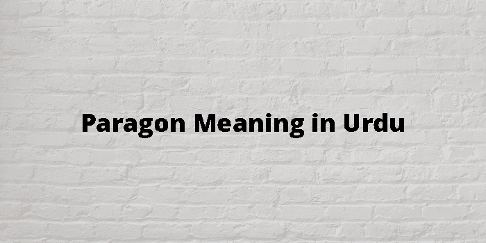Paragon Meaning In Urdu - اردو معنی