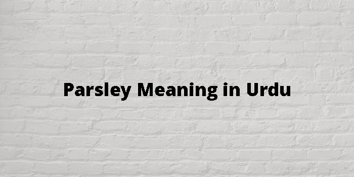 Parsley Meaning In Urdu - اردو معنی