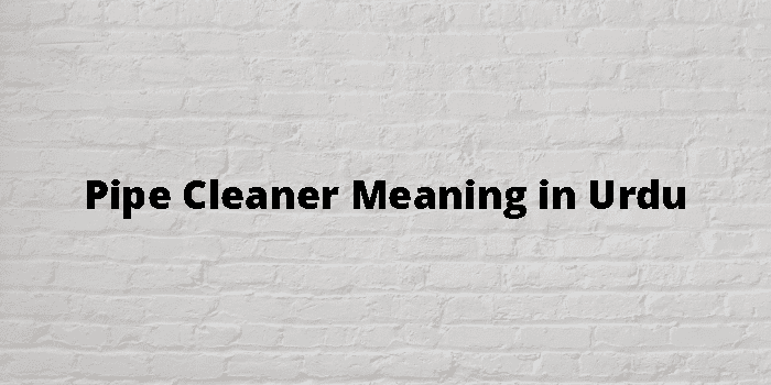 Pipe Cleaner Meaning In Urdu - اردو معنی