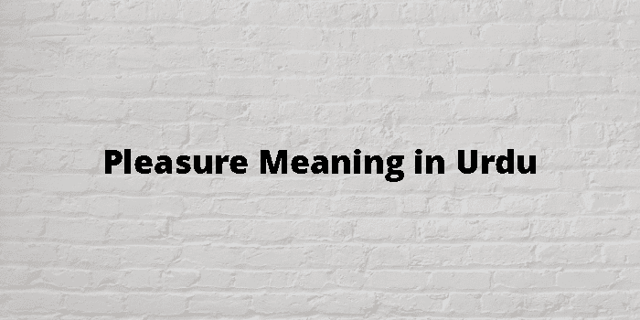 Pleasure Meaning In Urdu - اردو معنی
