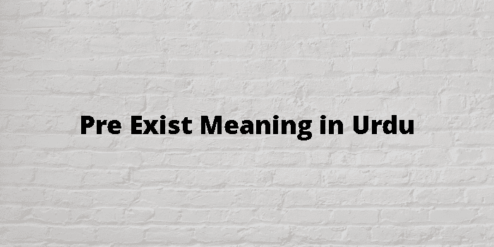 Pre Exist Meaning In Urdu - اردو معنی