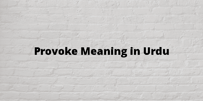 Provoke Meaning In Urdu - اردو معنی