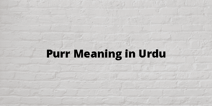 Purr Meaning In Urdu - اردو معنی