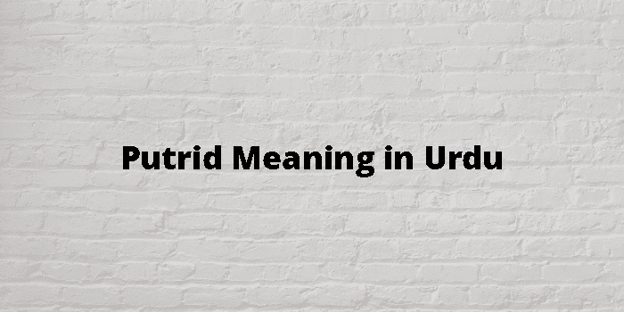 Putrid Meaning In Urdu - اردو معنی