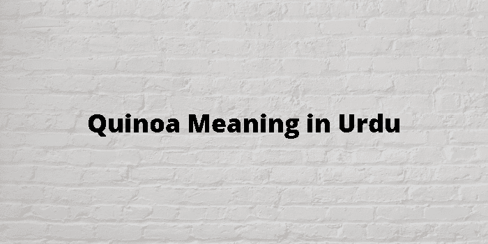 Quinoa Meaning In Urdu - اردو معنی