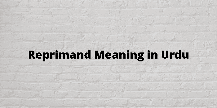 Reprimand Meaning In Urdu - اردو معنی