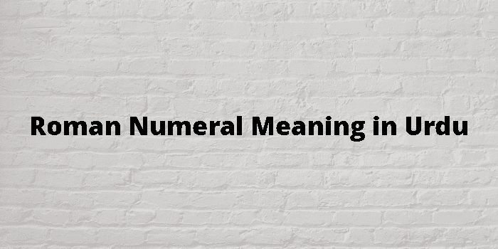 Roman Numeral Meaning In Urdu - اردو معنی