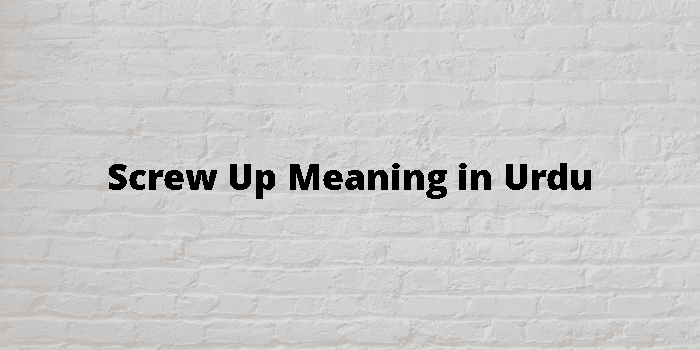 Screw Up Meaning In Urdu - اردو معنی