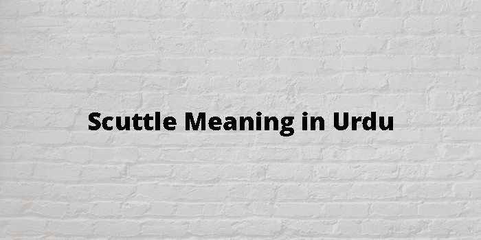 Scuttle Meaning In Urdu - اردو معنی