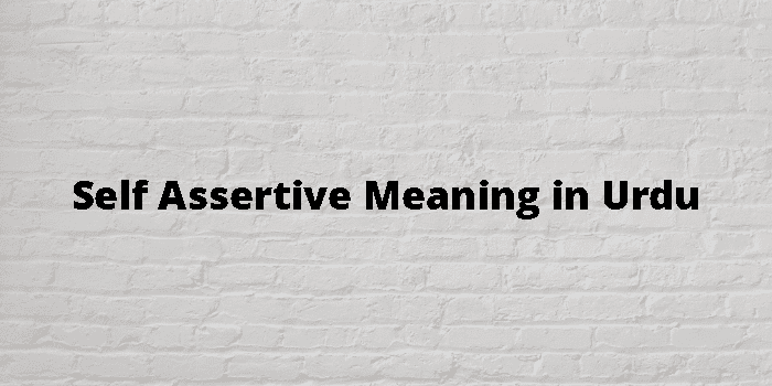 Self Assertive Meaning In Urdu - اردو معنی